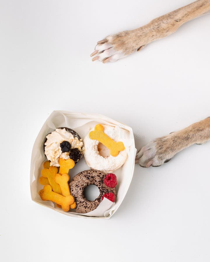 Of a Selection of Doughnuts in a Cardboard Box, Decorated with Dog ...