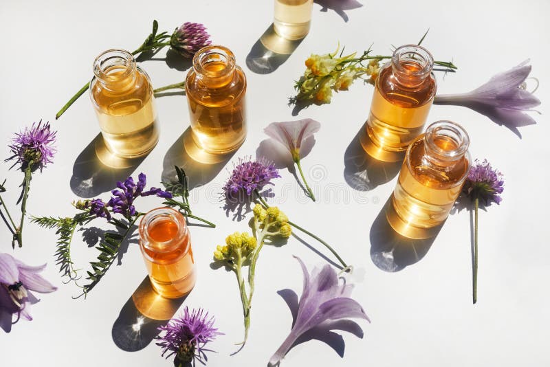 Selection of Essential Oils, with Herbs and Flowers on White Background ...