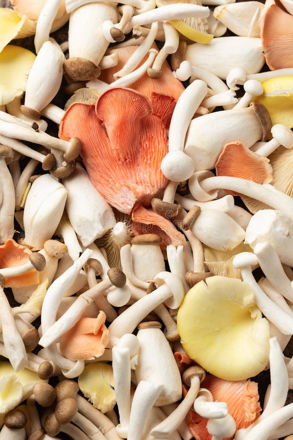 A Selection of Fresh Uncooked Exotic Mushroom Varieties Stock Photo ...