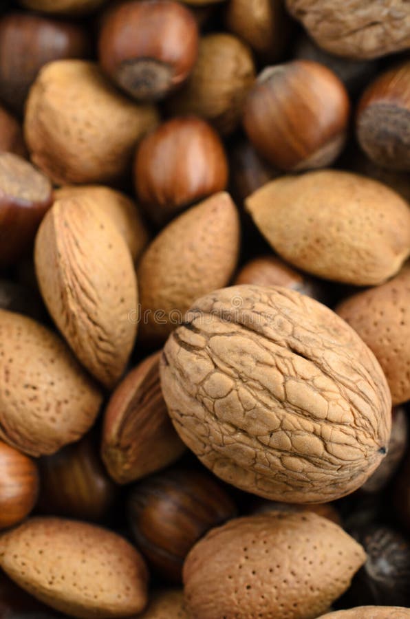 Selection of Mixed Nuts from Above Stock Image - Image of tones, mixed ...