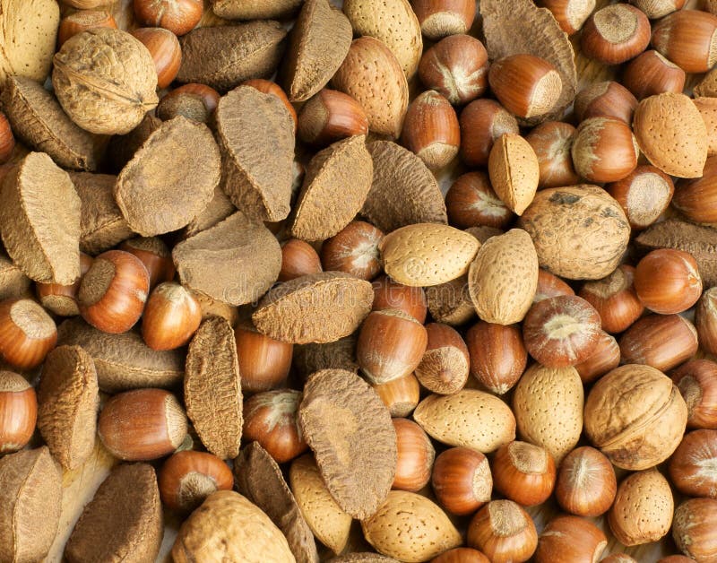 Selection of Nuts in Shells Stock Image - Image of snack, assortment ...