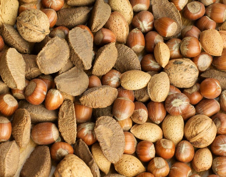 Selection of Nuts in Shells Stock Image - Image of snack, assortment ...