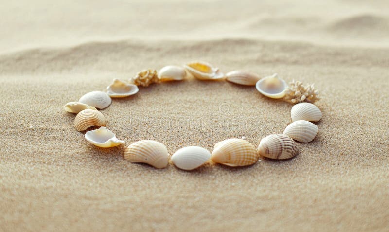 Seashells Form a Circle on the Beach, Creating a Decorative and Natural ...