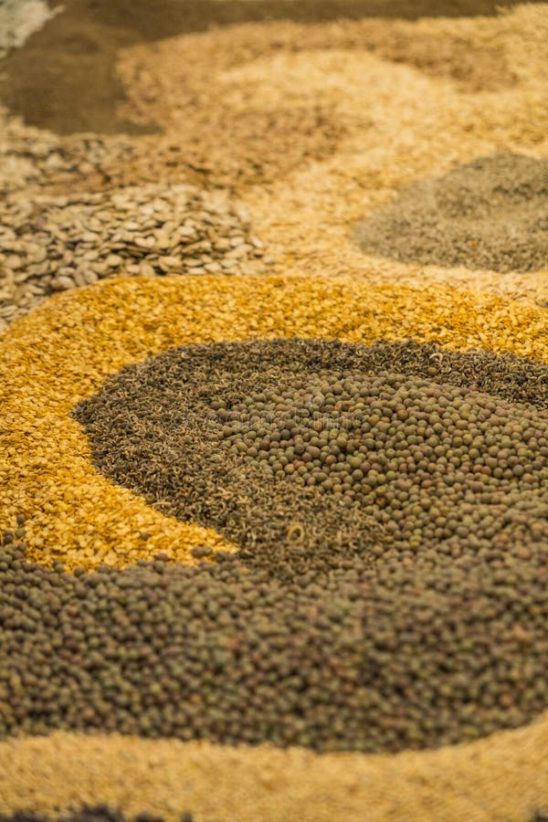 Herbs And Aromatic Plants Spiral Garden Bed Stock Image - Image of ...