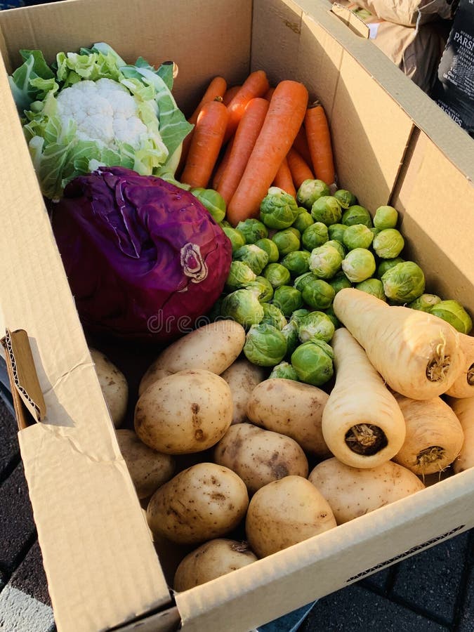 Vegetable Box Close Up Portrait Stock Image - Image of layers, festive ...