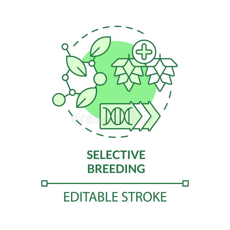Selective Breeding Stock Illustrations – 512 Selective Breeding Stock ...