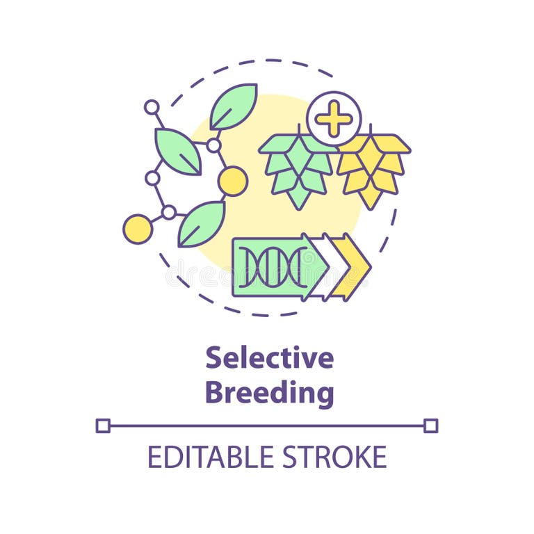 Selective Breeding Stock Illustrations – 376 Selective Breeding Stock ...