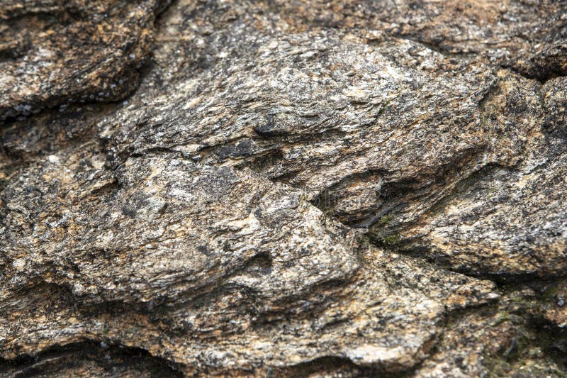 Selective Close-up View of Sand Rock Texture Stock Image - Image of ...