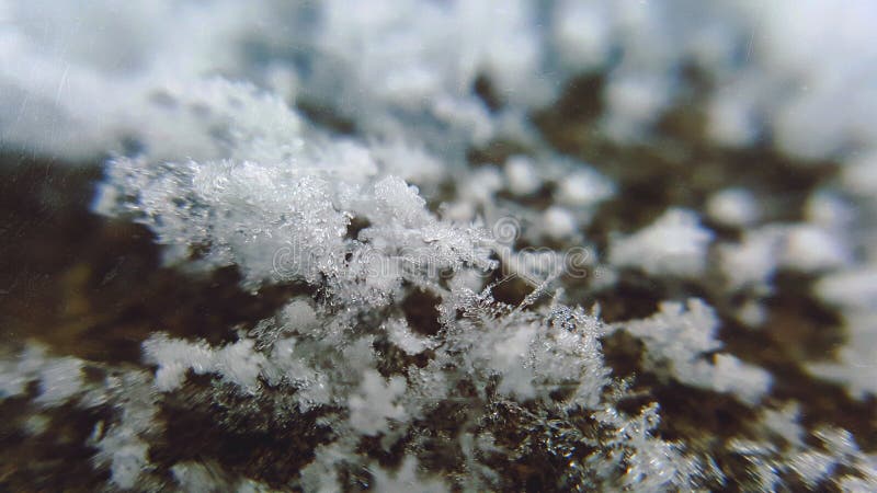 Selective Closeup Shot of an Ice Frost on a Moss Stock Photo - Image of ...