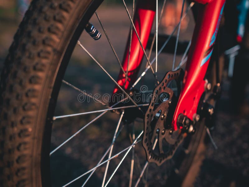 Selective Closeup Shot of Red Bicycle Wheels Stock Photo - Image of ...