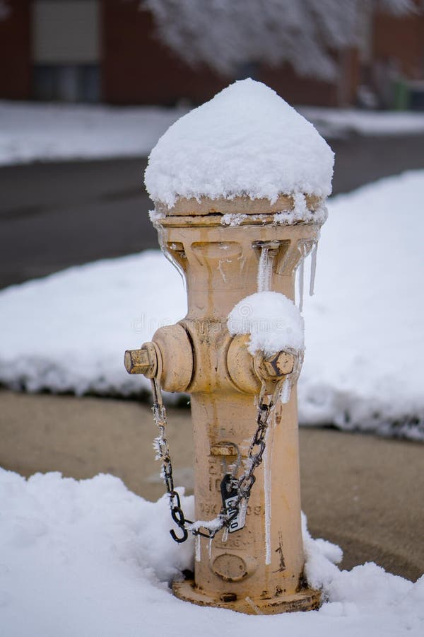 Selective of a Fire Hydrant Covered with Snow Stock Image - Image of ...