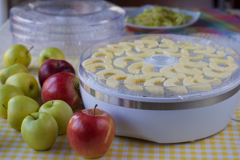 Selective Focus on Apple Slices in Electronic Dryer Stock Image - Image ...