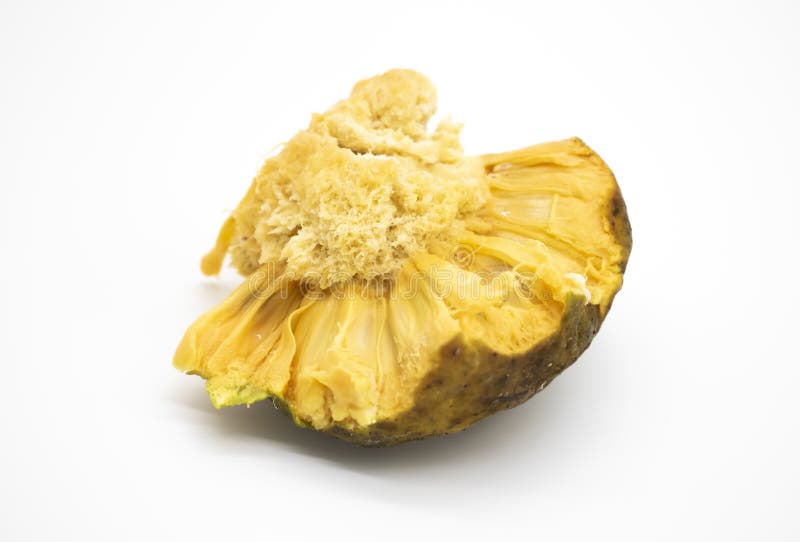 Selective Focus, Artocarpus Lacucha Fruit or Monkey Fruit, or Monkey ...