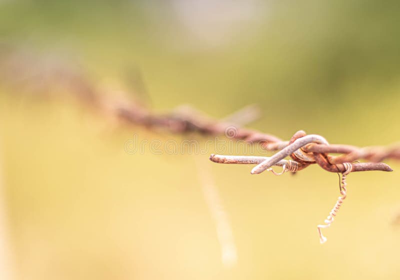 Selective Focus Barbed Wire Fence Rust Wire Fence Stock Image. Image of ...