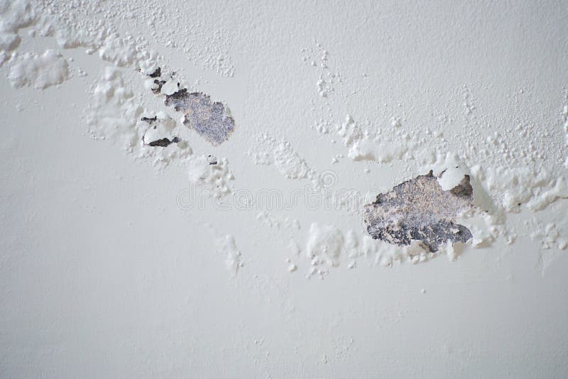 Selective Focus on the Blistered Surface of Cement Wall. Swollen Color ...