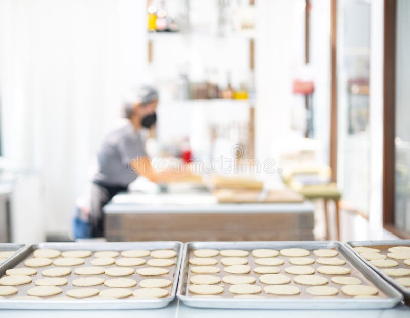 Selective Focus and Blurred Background of Beautiful Bright and White ...