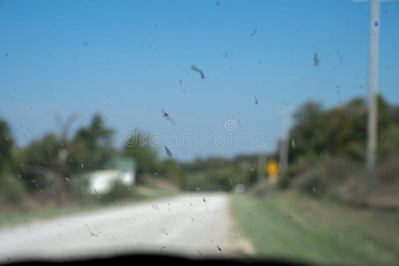 122 Bug Windshield Stock Photos - Free & Royalty-Free Stock Photos from ...