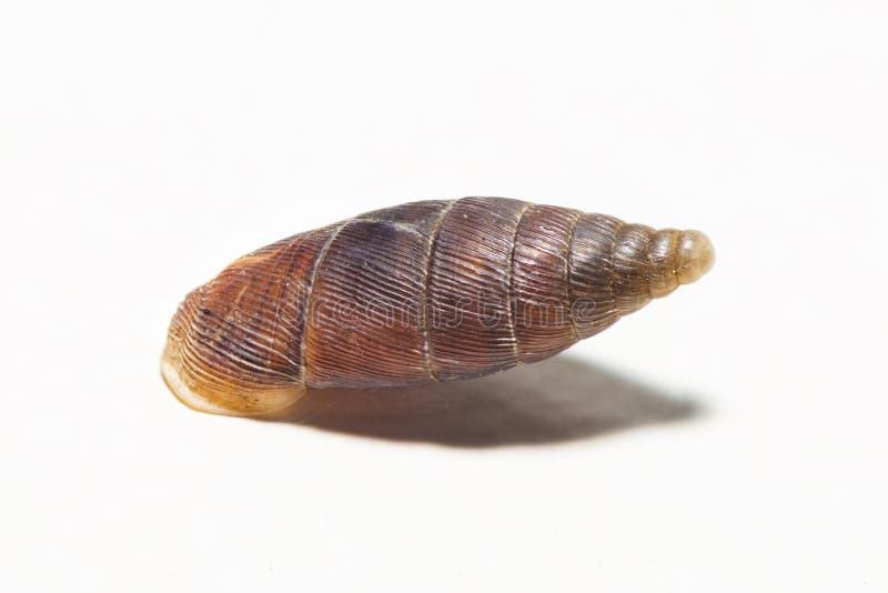 Bulin Emoji Stock Photos - Free & Royalty-Free Stock Photos from Dreamstime