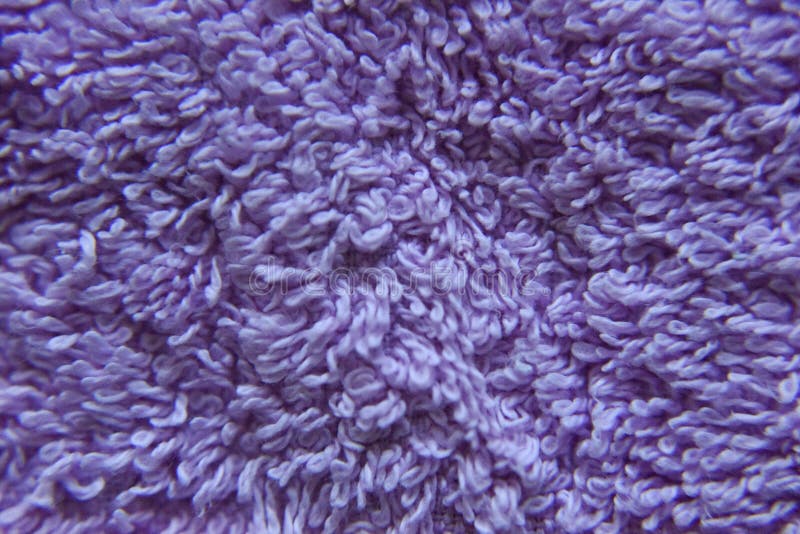 Selective Focus on Carpet Fibers Under the Microscope Stock Photo ...