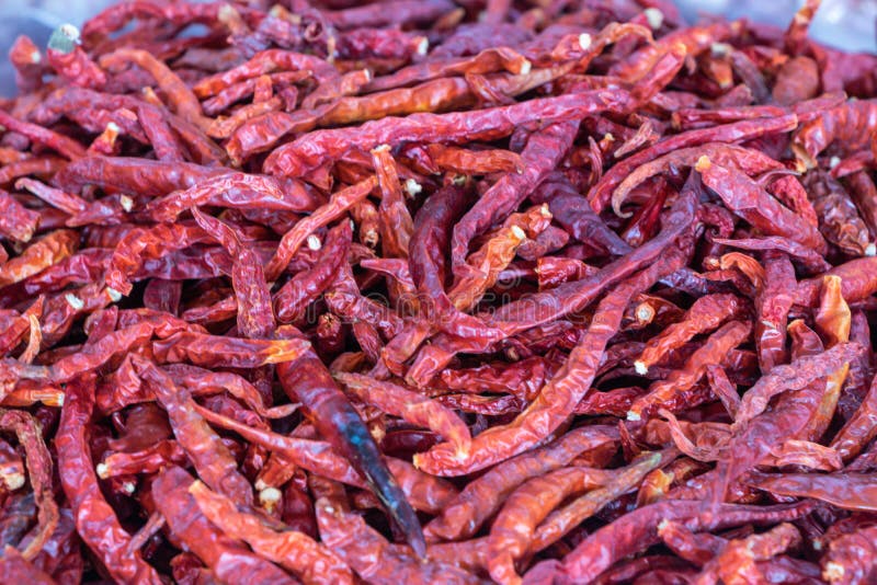 Red hot chilli peper stock photo. Image of fire, cayenne - 10457910
