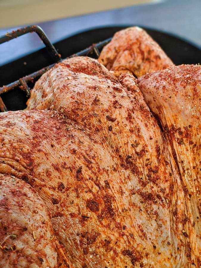Close Up of the Skin Texture on a Seasoned and Rubbed Down Turkey Stock ...