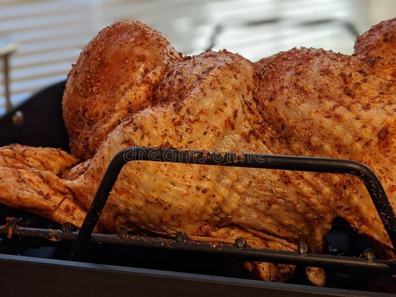 Roast Turkey Texture stock photo. Image of grill, crispy - 12450522