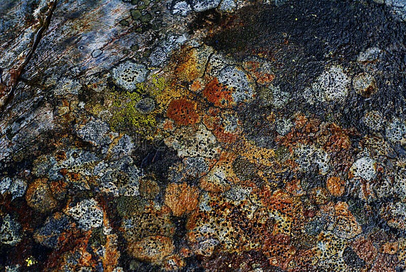 Colorful Stones Natural Background or Pattern. Stock Photo - Image of ...