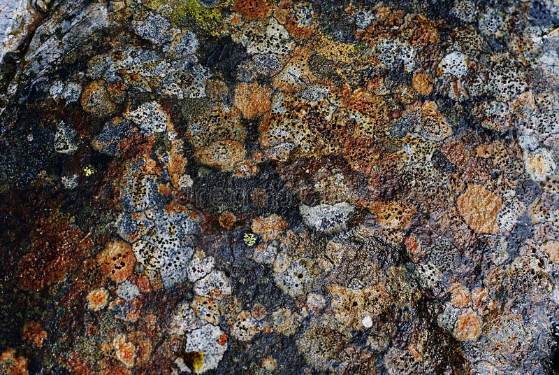 Colorful Stones Natural Background or Pattern. Stock Image - Image of ...