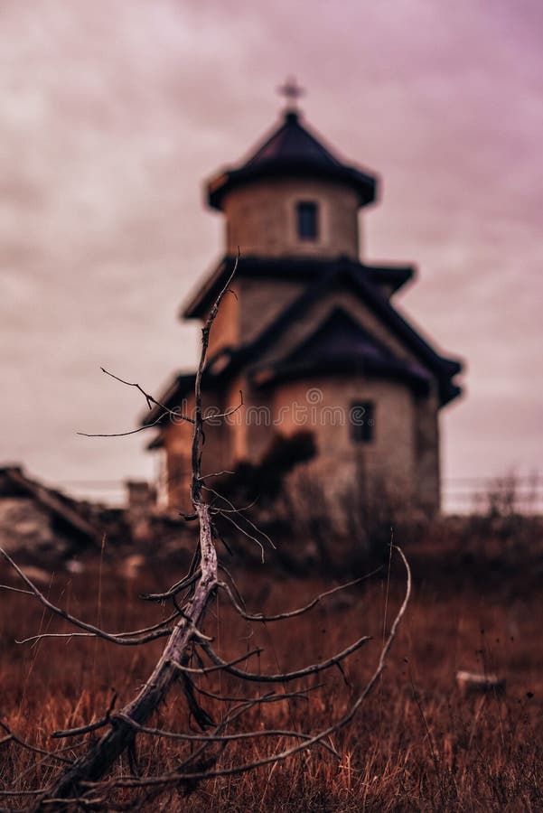 Selective Focus of a Dry Fallen Tree Branch with a Church on the ...
