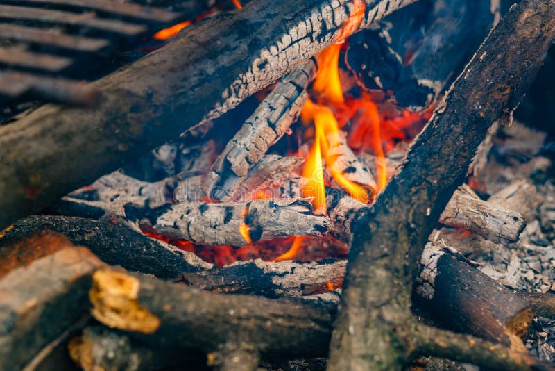Selective Focus of Firewood Burning in Red Flames Stock Image - Image ...