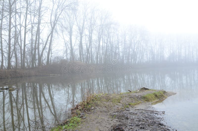 Selective Focus of a Foggy and Scary Lake Surrounded by Trees - Great ...