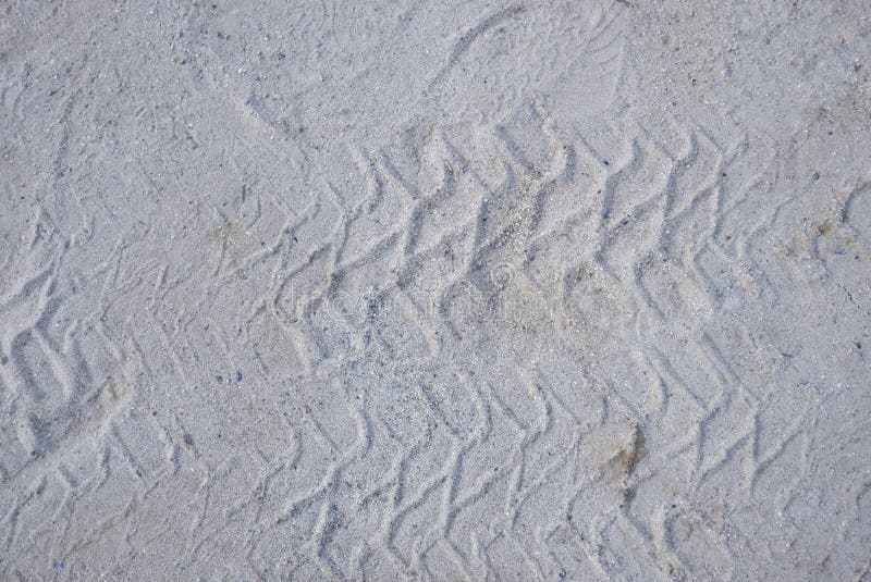In Selective Focus Tropical Plumeria Flower Leaves on White Isolated ...