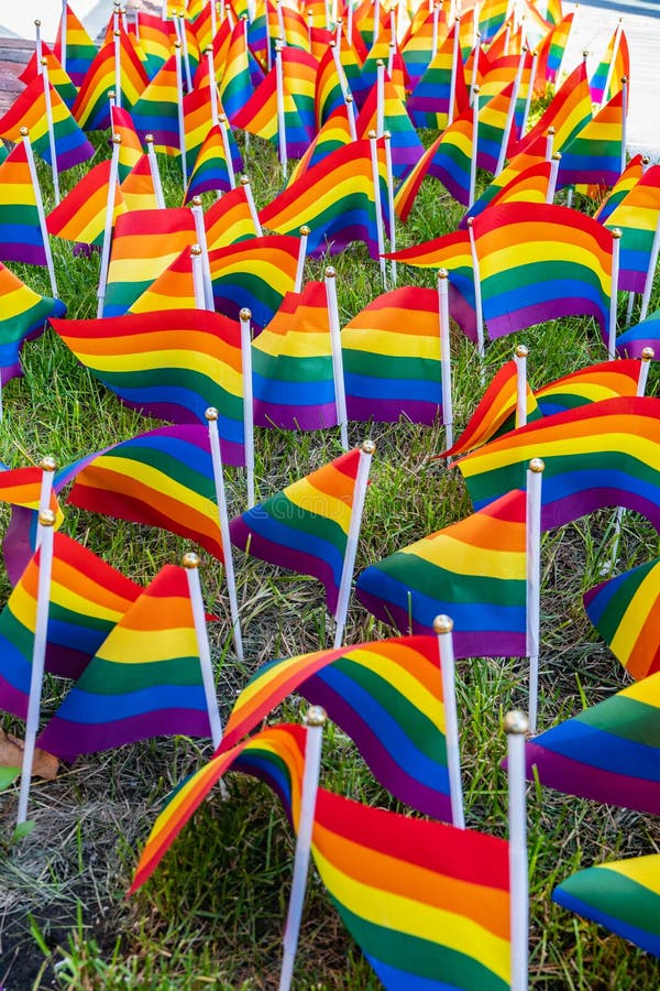 Many Rainbow Pride Flags in the Grass Stock Photo - Image of homosexual ...