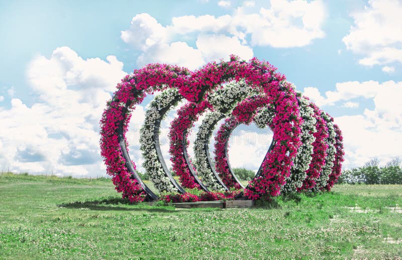 Selective Focus. Large Decorative Wedding Arches Made in Form Flowers ...