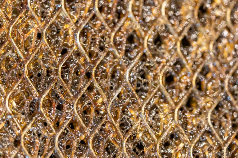 Selective Focus Macro of a Dirty Kitchen Range Hood Filter Clogged with ...