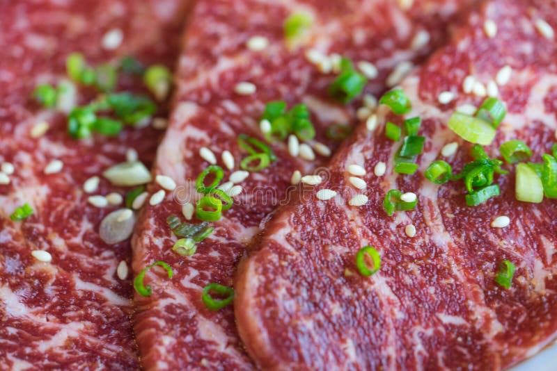 Selective Focus on Macro View of Fresh A5 Japanese Supreme Beef Stock ...