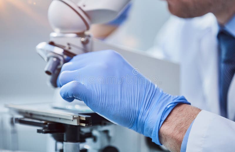 Scientist Looks into a Microscope Near the Laboratory, Close-up Stock ...