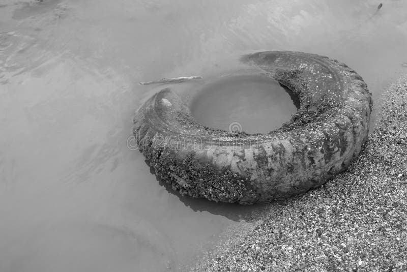 Selective Focus of an Old Tyre Covered with Mud,water and Shells by the ...