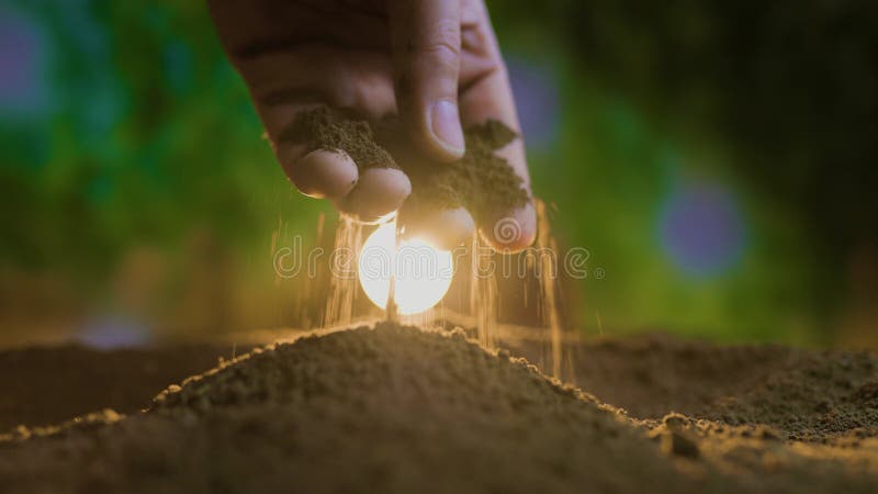 Selective Focus on a Pair of Hands, Covered in Dirt and Soil, Working ...