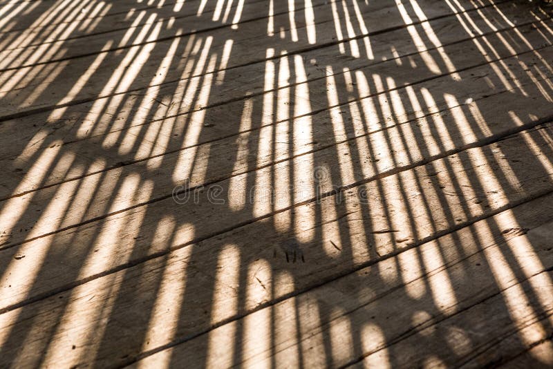 Selective Focus of Pattern Beautiful Light and Shadow on the Wooden ...