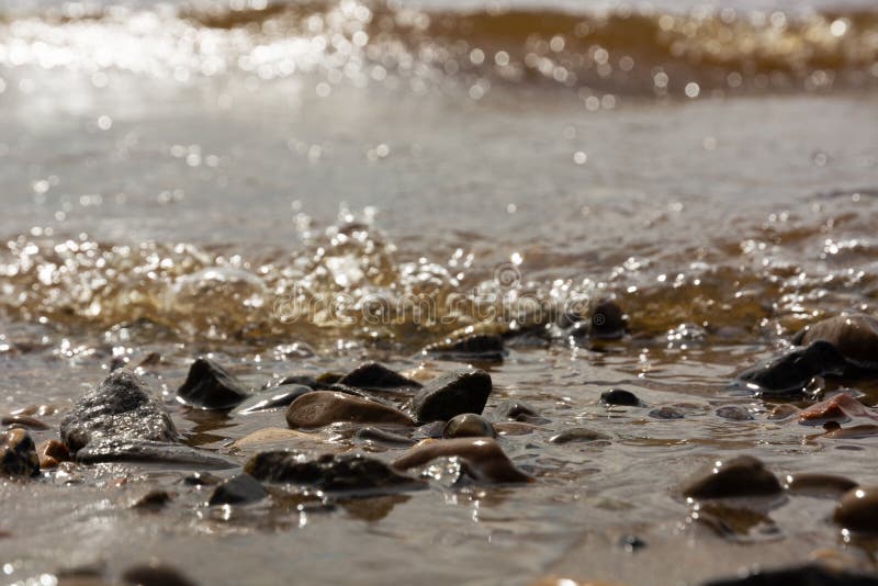 Selective Focus, Pebble with Sand River Bank Stock Photo - Image of ...