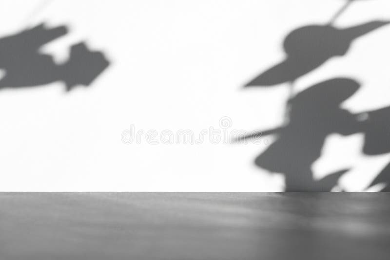 Selective Focus. Plant Shadow Scene for Product Presentation with ...