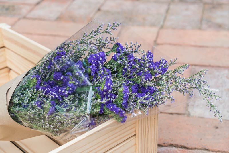 Bouquet flower of statis stock image. Image of popular - 105213593