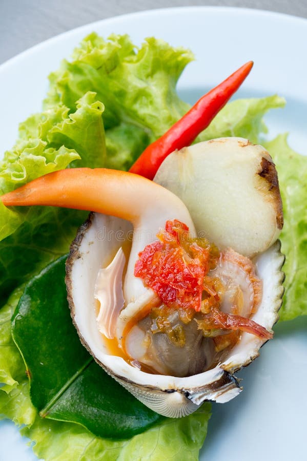 Cooked Cockles stock image. Image of blood, thai, nature - 100008331