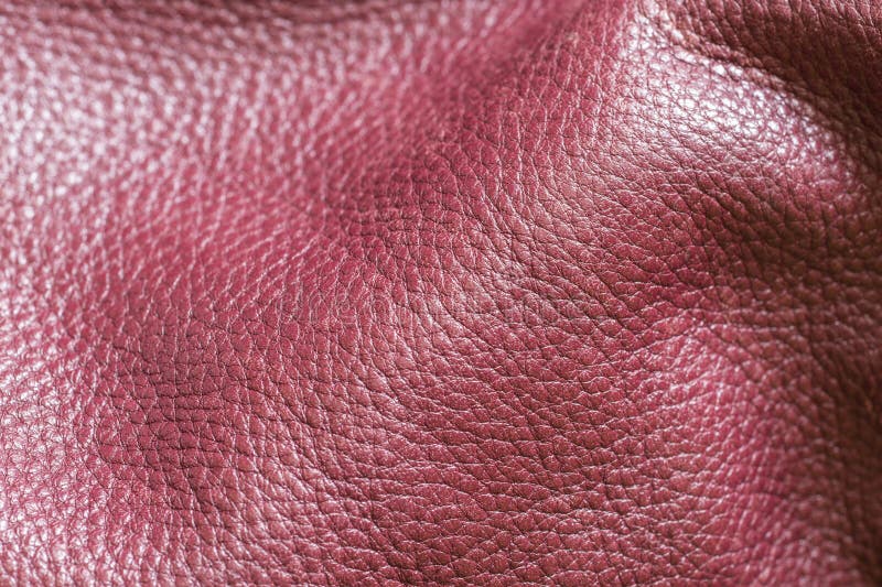A Selective Focus on Real Cowhide Leather with Its Grainy Texture. Full ...