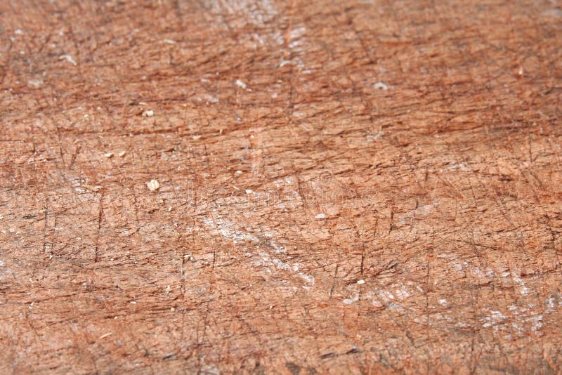 In Selective Focus a Rough Skin Pattern of Brown Wood for Background ...