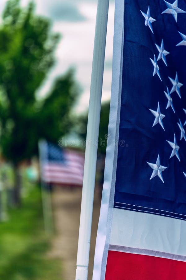 Selective Focus Shot of American Flags Waving in the Wind Stock Image ...