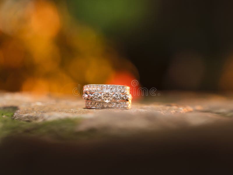 Selective Focus Shot of a Beautiful Silver Wedding Ring with a Blurred ...