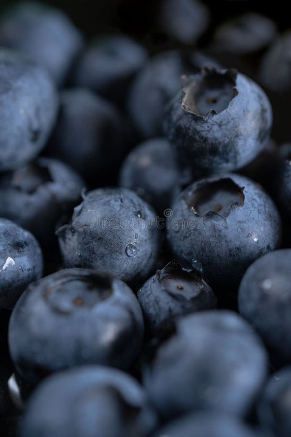 Selective Focus Shot of Blueberry with Blur Background Stock Image ...