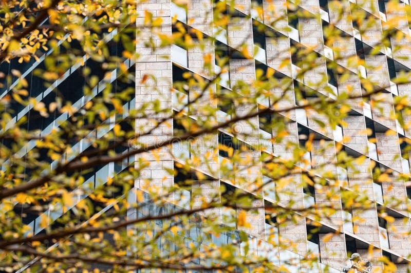Selective Focus Shot of a Contemporary Building with a Blooming Tree in ...